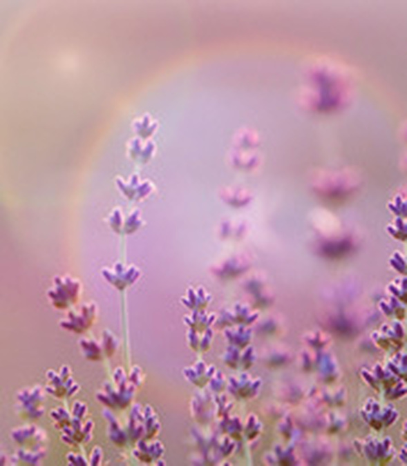 Mary Arlene Raymond Obituary - Windsor, ON | Families First
