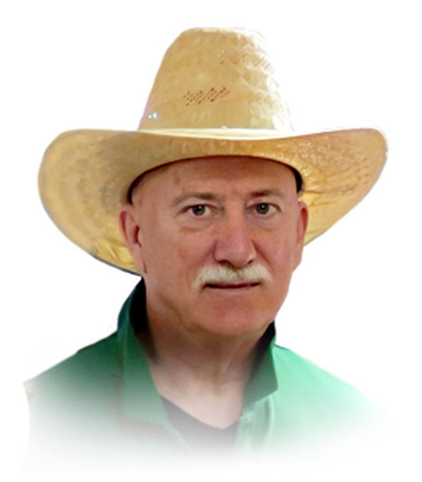 Alan Merritt Obituary - Amherstburg, ON | Families First